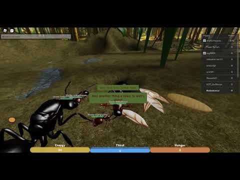 How to be a GREAT Queen in ant life V2 - YouTube