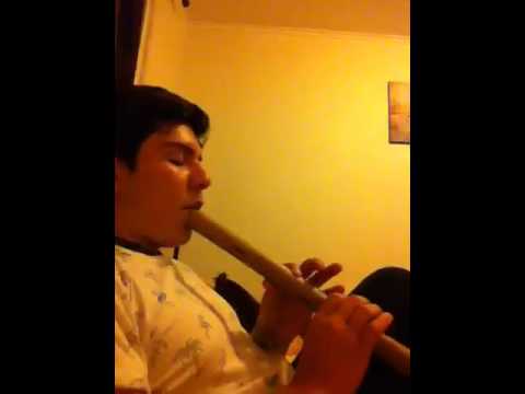 Una canción con flauta