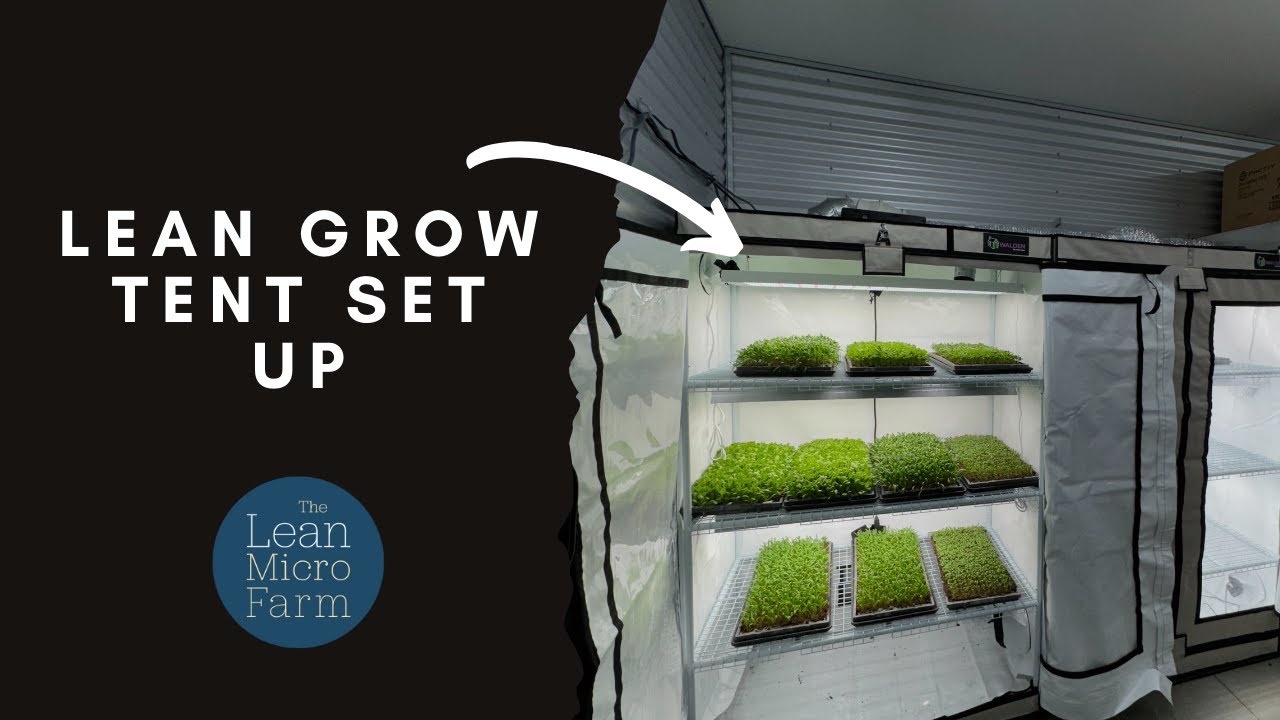 Lean Grow Tent Set Up - YouTube