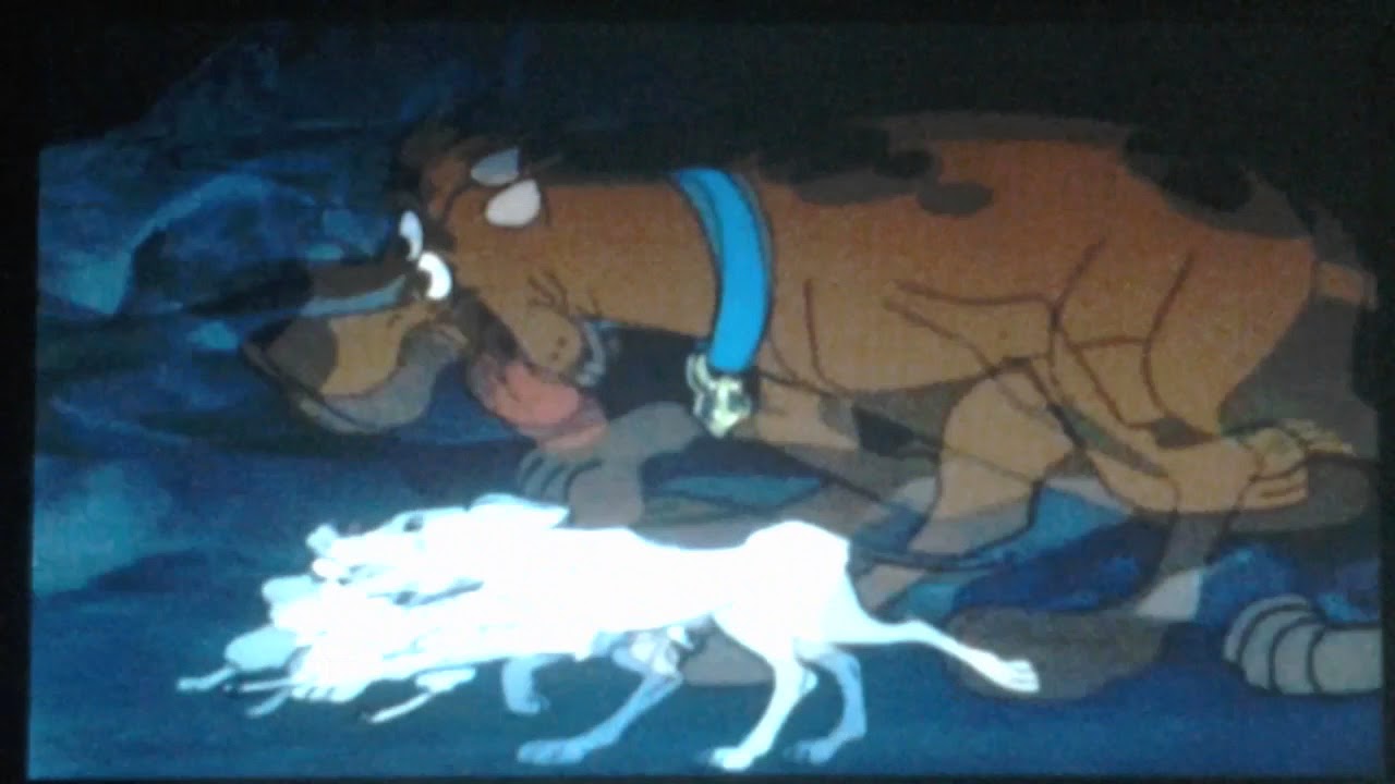 Decoy for a Dognapper (1969) - YouTube