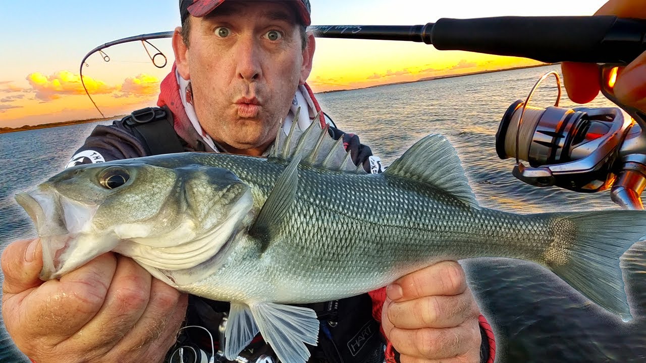 Bass Fishing With Surface Lures |AWESOME Results! - YouTube