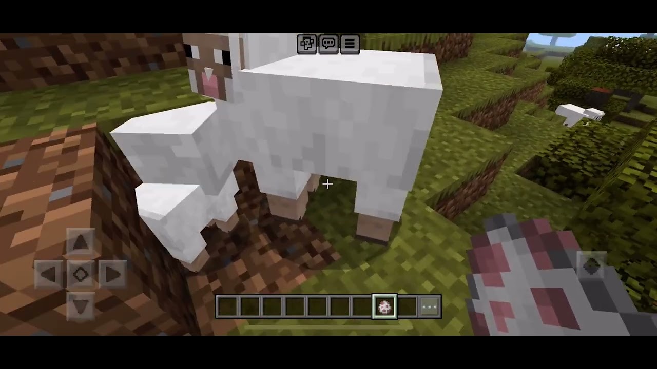 Baby sheep Minecraft - YouTube