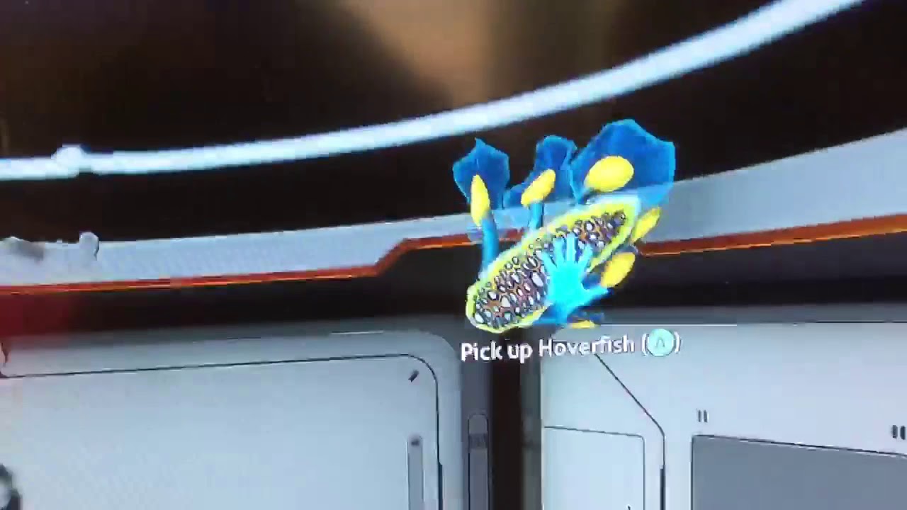 Hover fish Olympics subnautica - YouTube