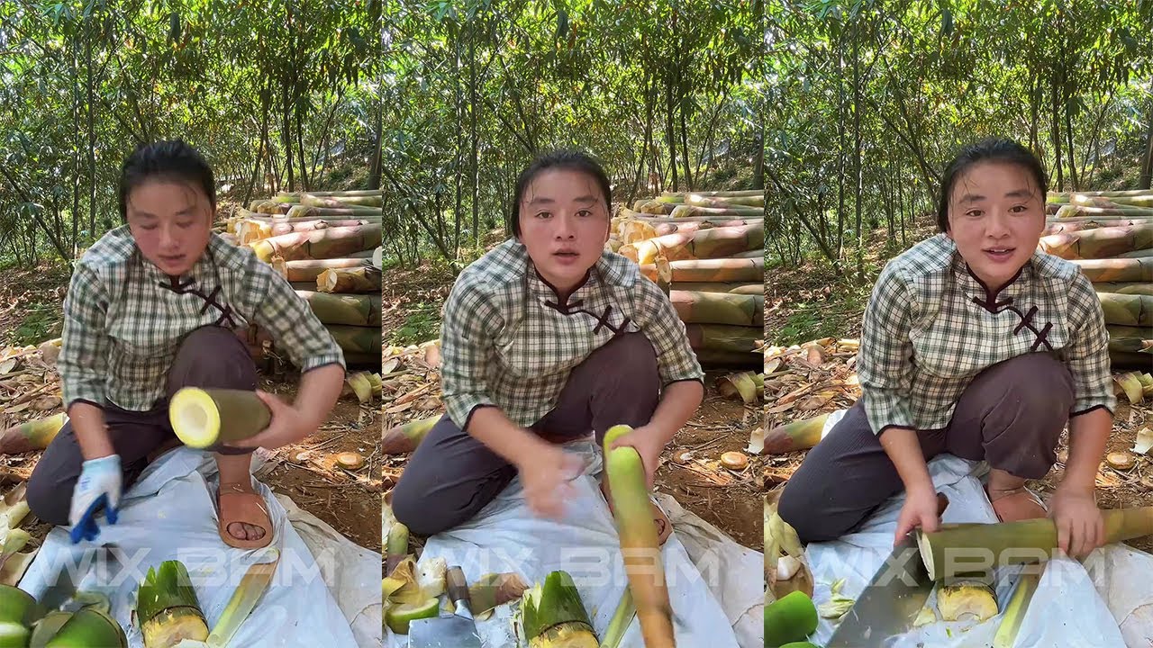 How To Cutting Bamboo Shoot Professional P198 - YouTube