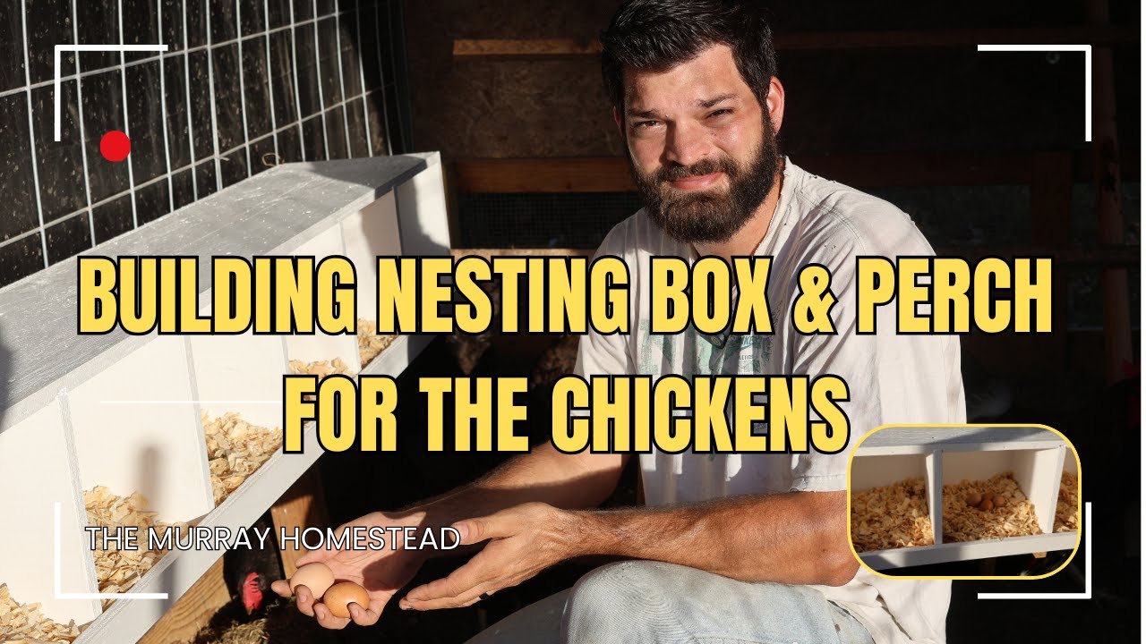 DIY Chicken Nesting Boxes & Perch. Build: Step-by-Step Guide with ...