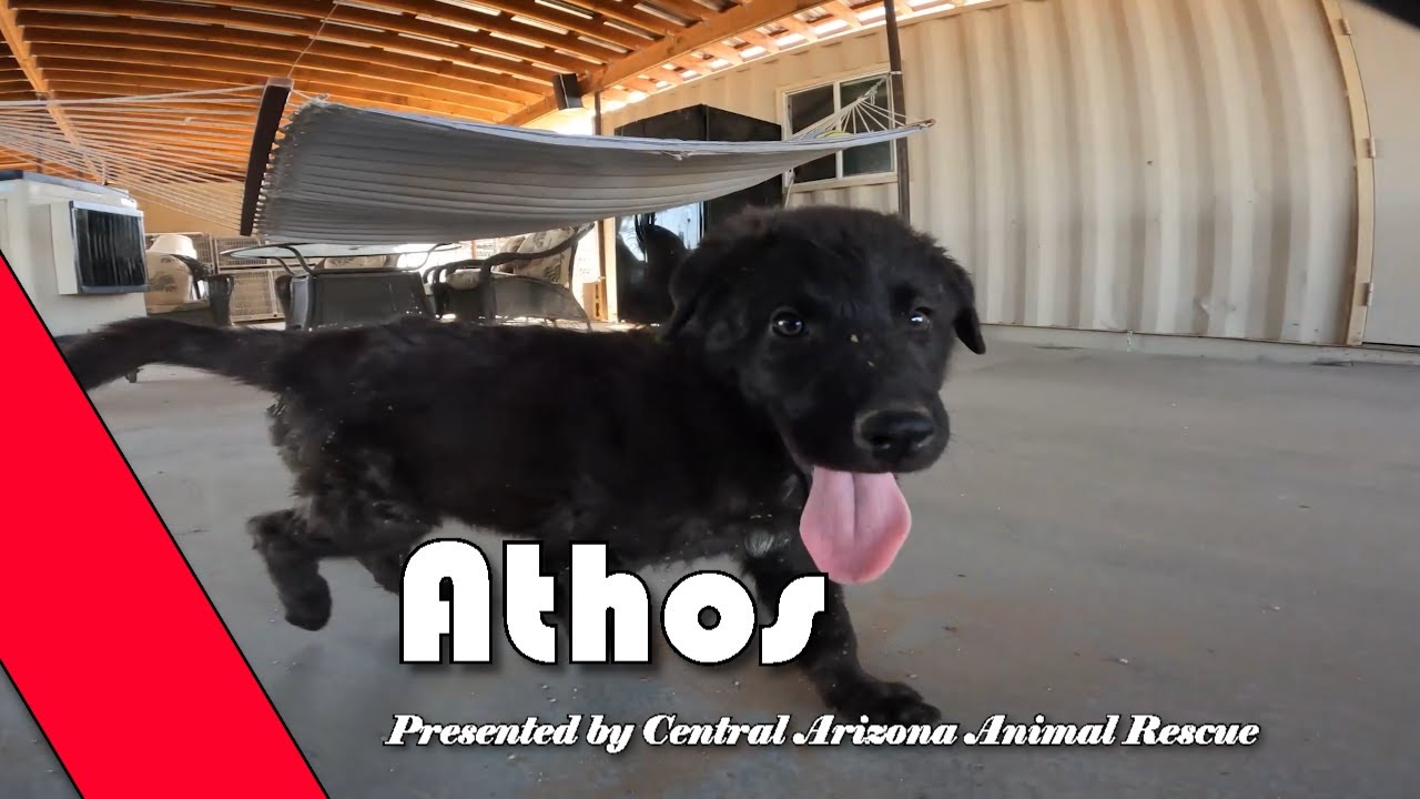 Athos - YouTube