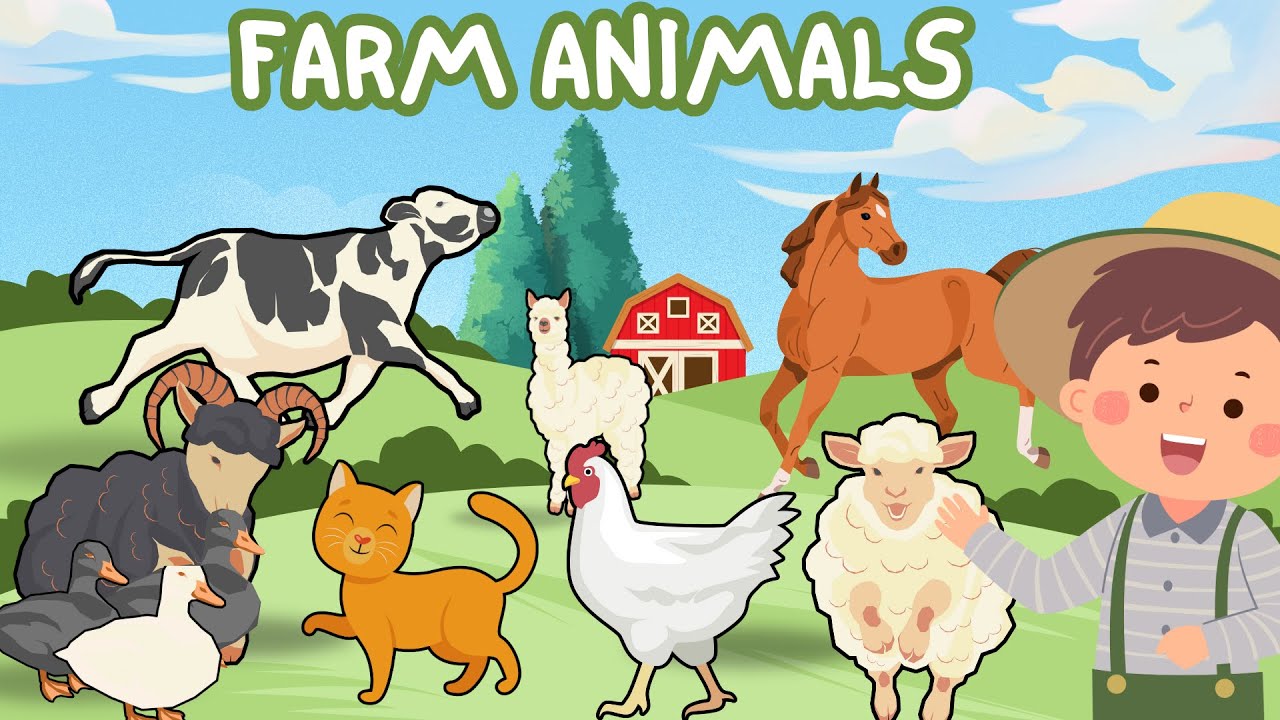 Farm Friends Adventure: Exploring the Barnyard | Farm Fresh Fun: Meet ...