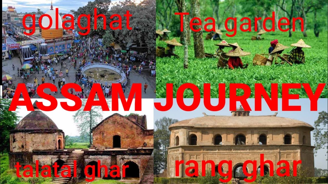 Tea Garden Assam/India/Assam journey/// - YouTube