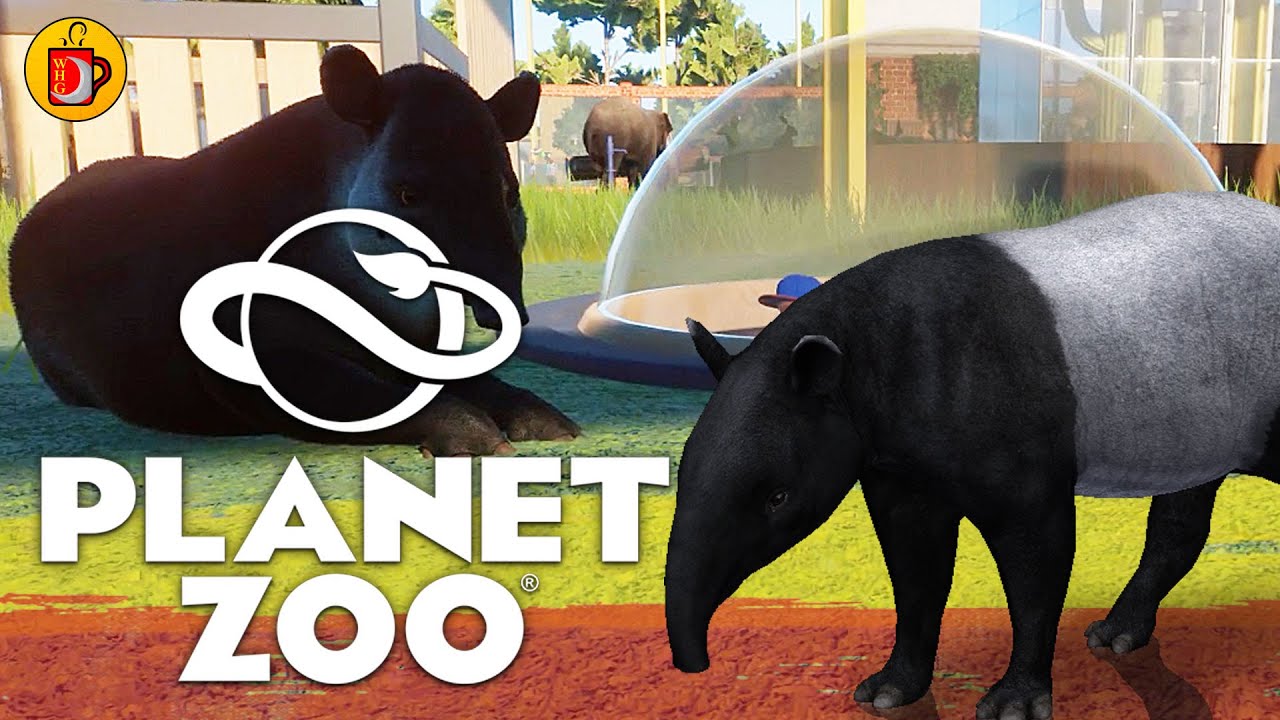 500 Pounds Of Fun | Planet Zoo (Part 53) - YouTube