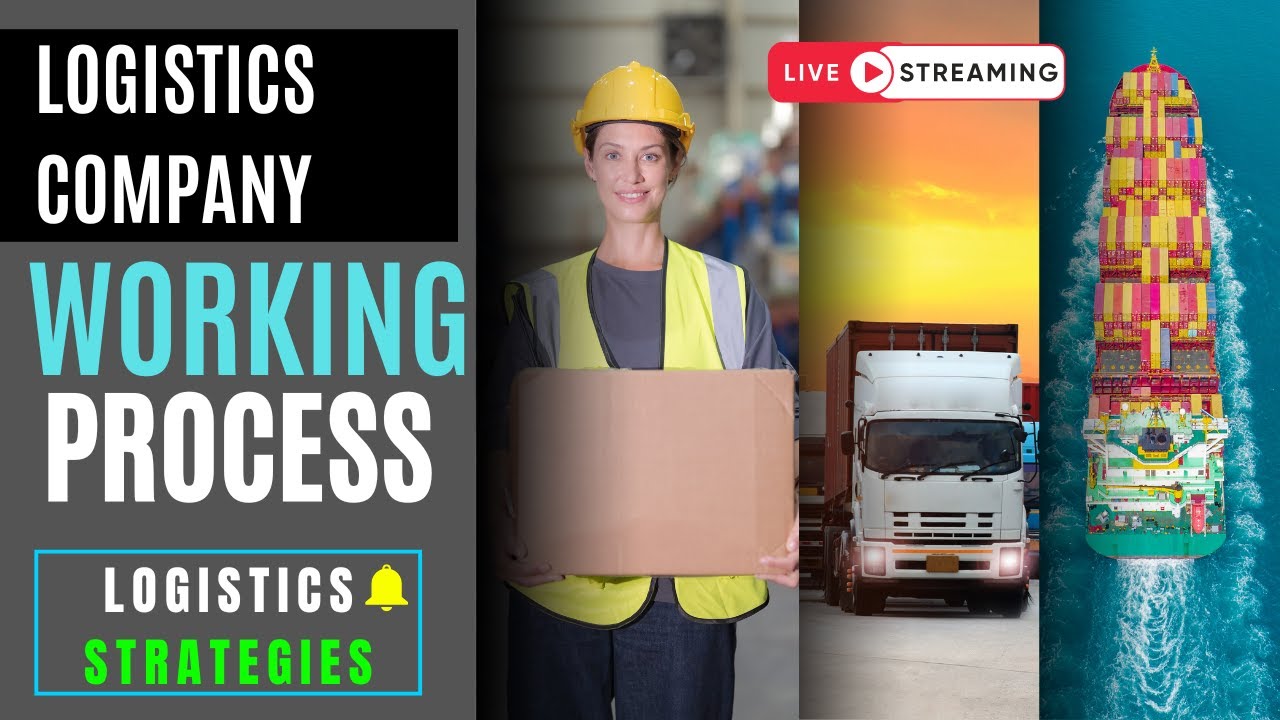 Logistics Company Working Process | Role & Basic Functions of a ...
