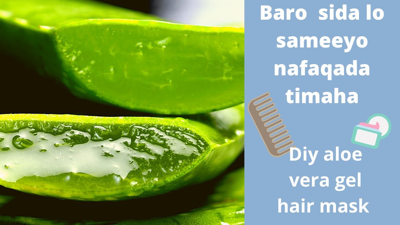 nafaqada timaha -Diy aloe Vera gel hair mask - YouTube