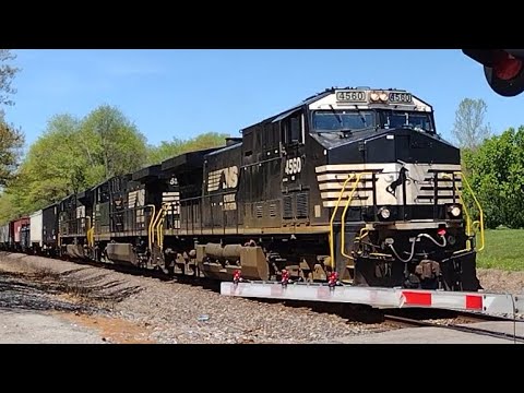 NS 4560 Leads Mix Freight (EB) - YouTube