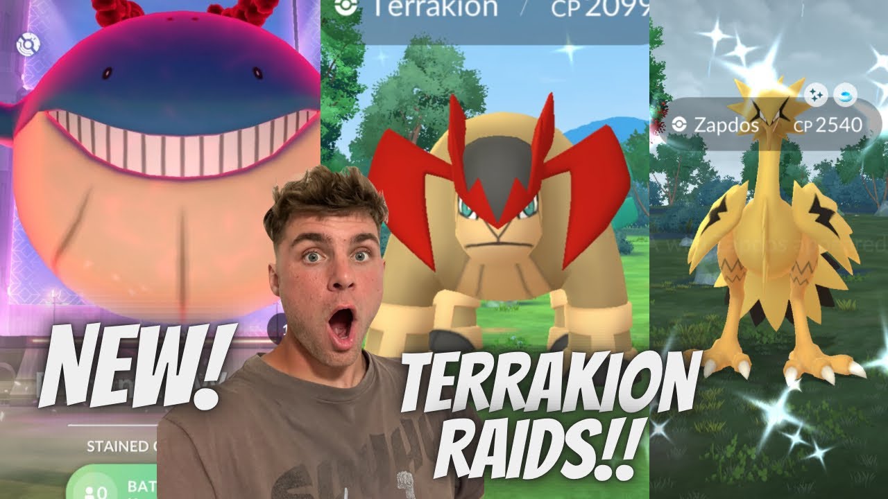 Terrakion Raids, NEW Dynamax Wailmer and Galarian Bird Shiny Hunt in ...