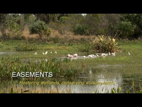 NRCS Florida - YouTube