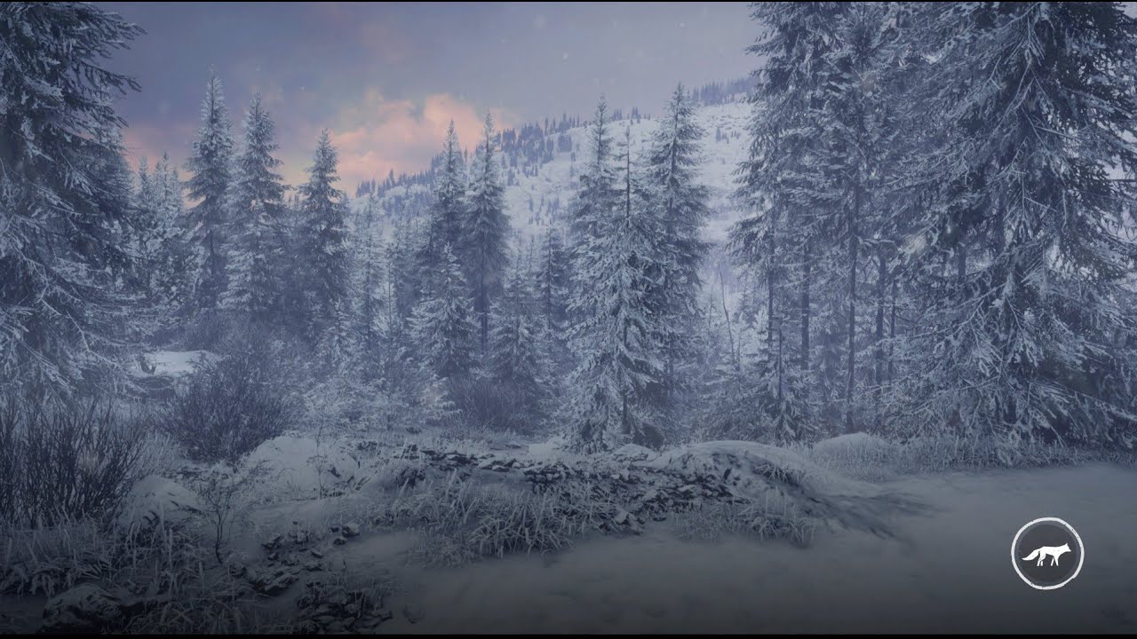 [The Hunter] Mob歩兵が久々に自然に帰る様です #21 [Call of the Wild] - YouTube