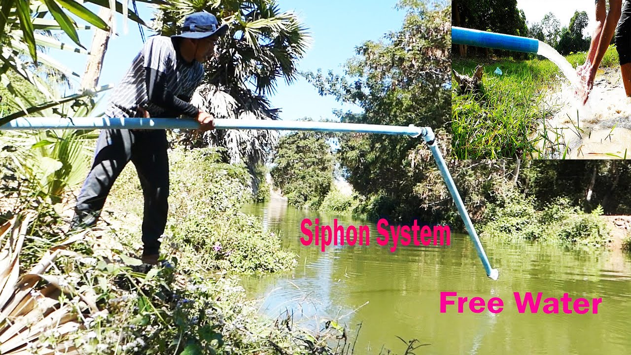 Auto Water - Siphon System!! How to install Siphon System suck water ...