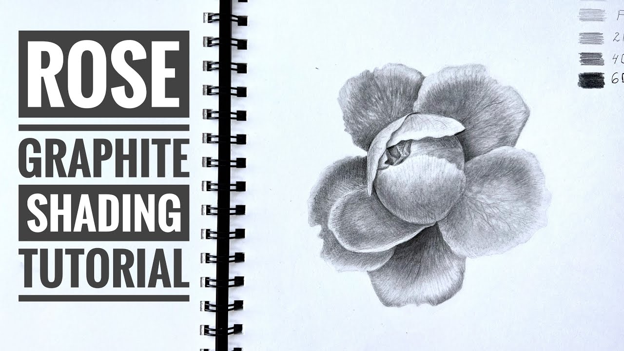 Rose Graphite Toning Tutorial 🖤 How to Draw Realistic Rose 🖤 Pencil ...