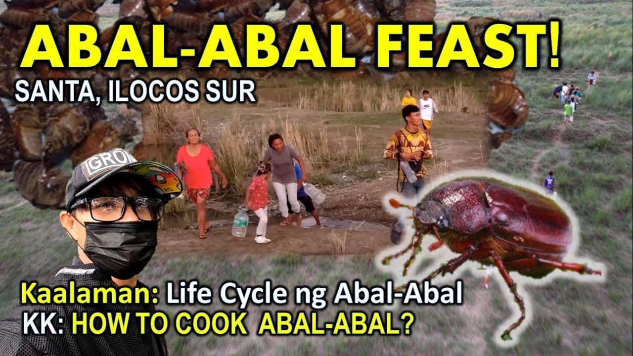 Catch and Cook ABAL-ABAL at SANTA, Ilocos Sur, Philippines - YouTube