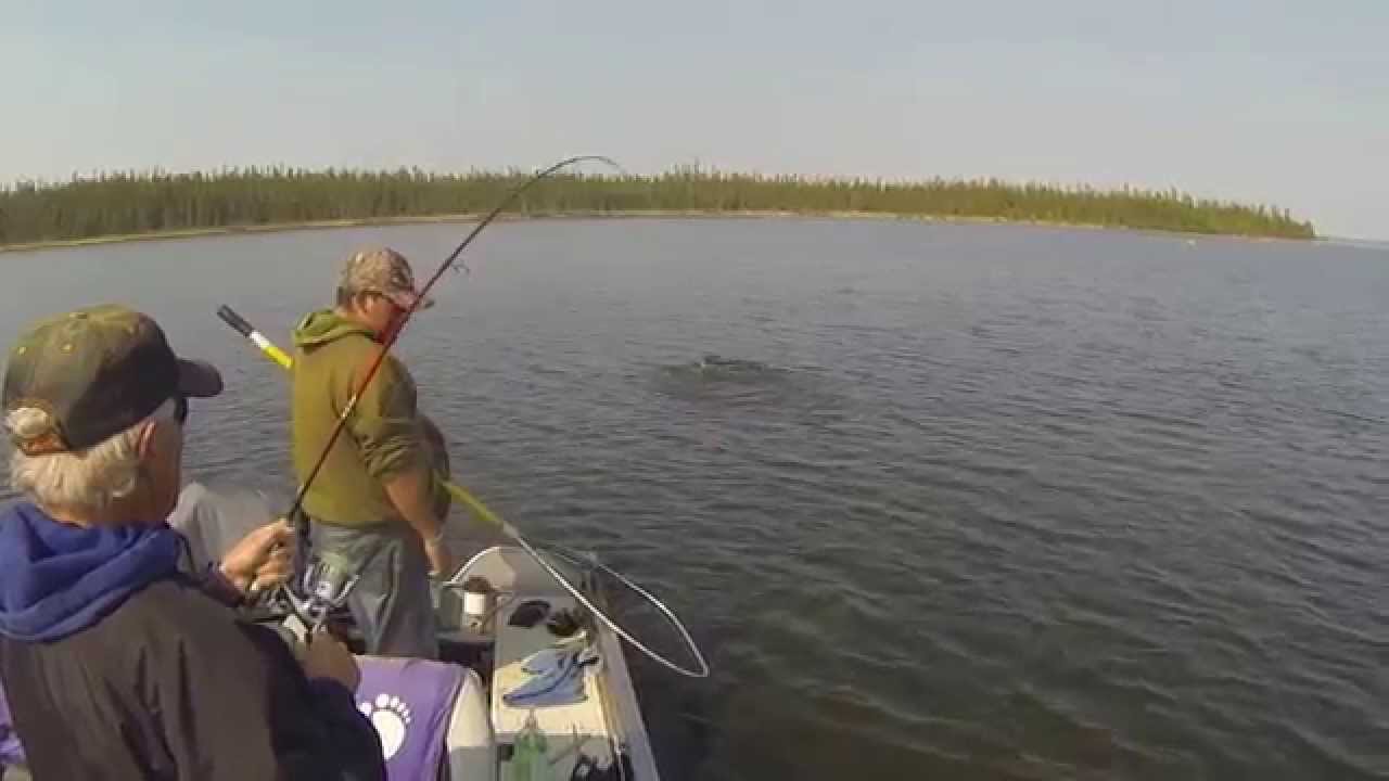 Reindeer Lake Fishing - YouTube