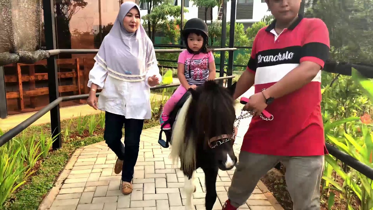 Asya Azza Berkuda di Branchsto BSD / Twin Girls Riding and feeding ...