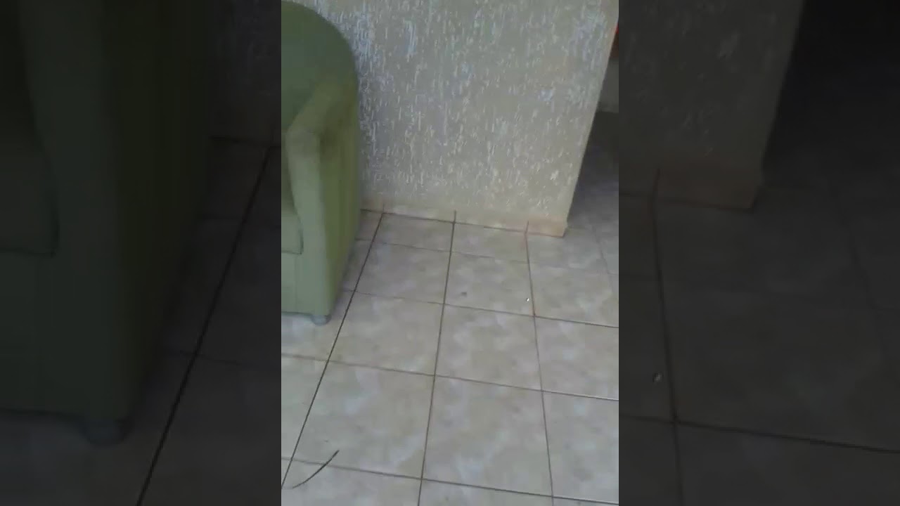 Trolei Minha Namorada Youtube