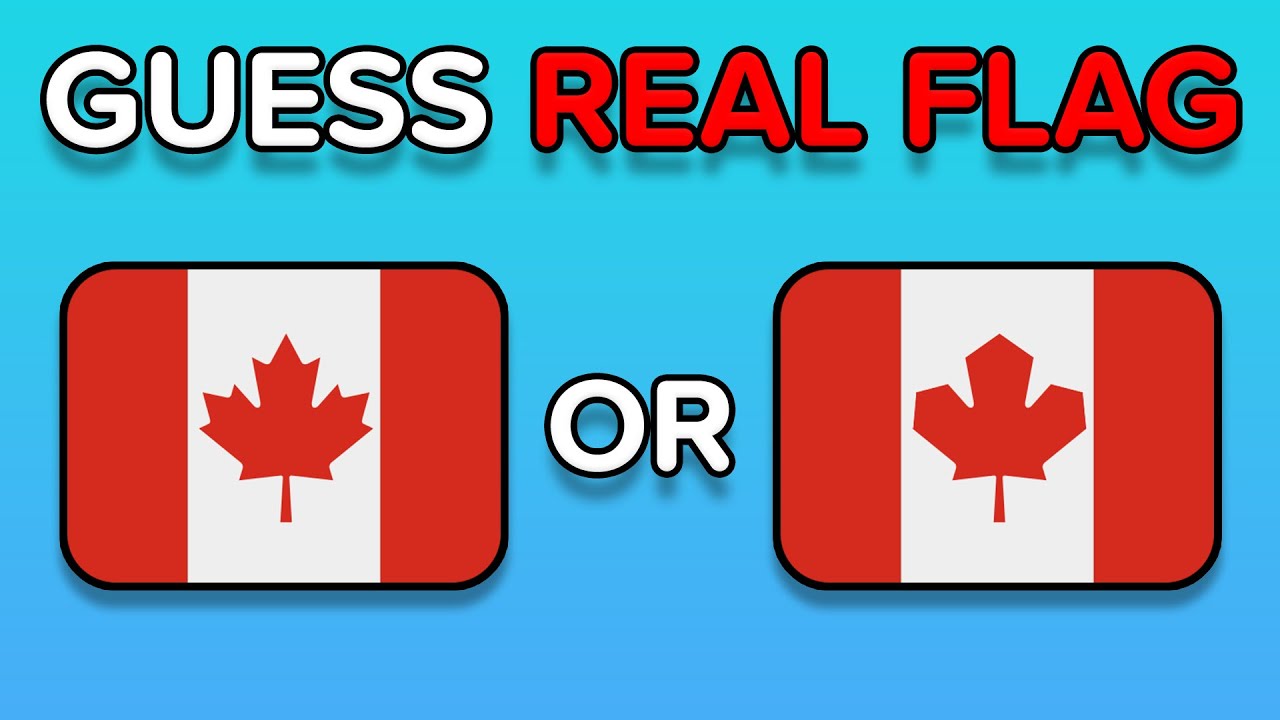 Guess the Correct Flag in this Amazing Game | Flag Quiz - YouTube