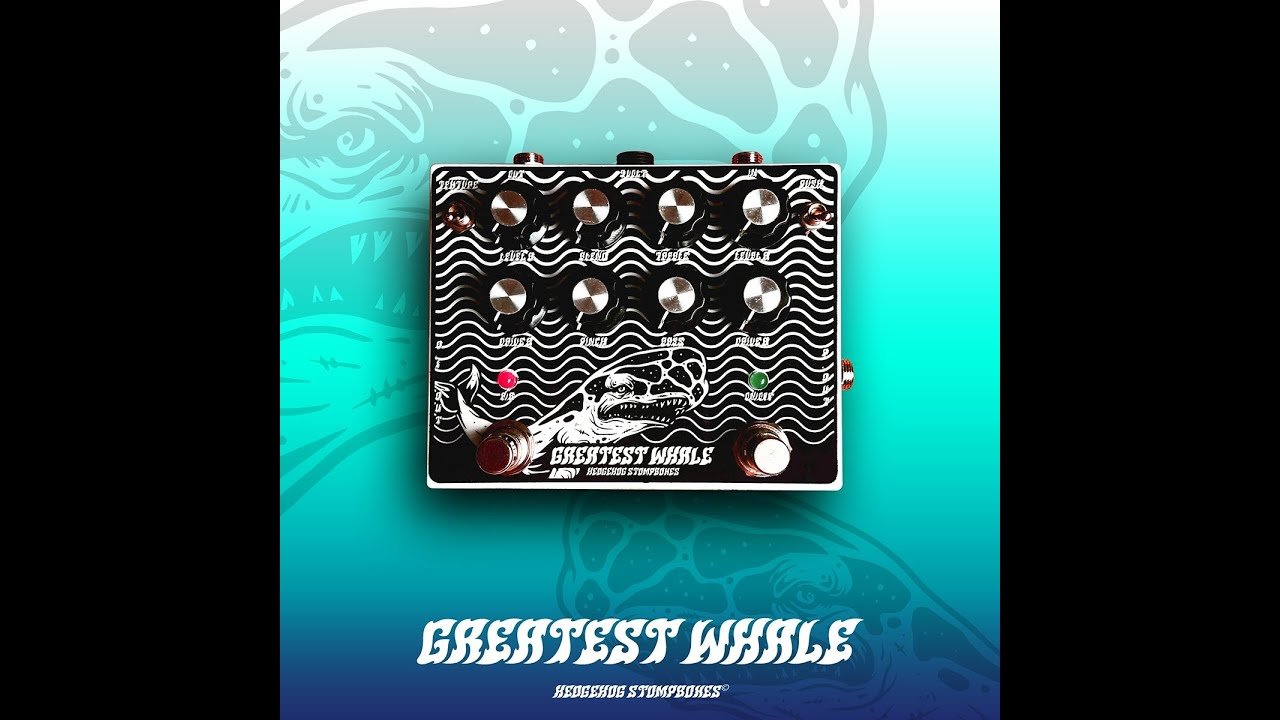 Greatest Whale bass Preamp/Overdrive/Distortion/Fuzz/D.I. - YouTube
