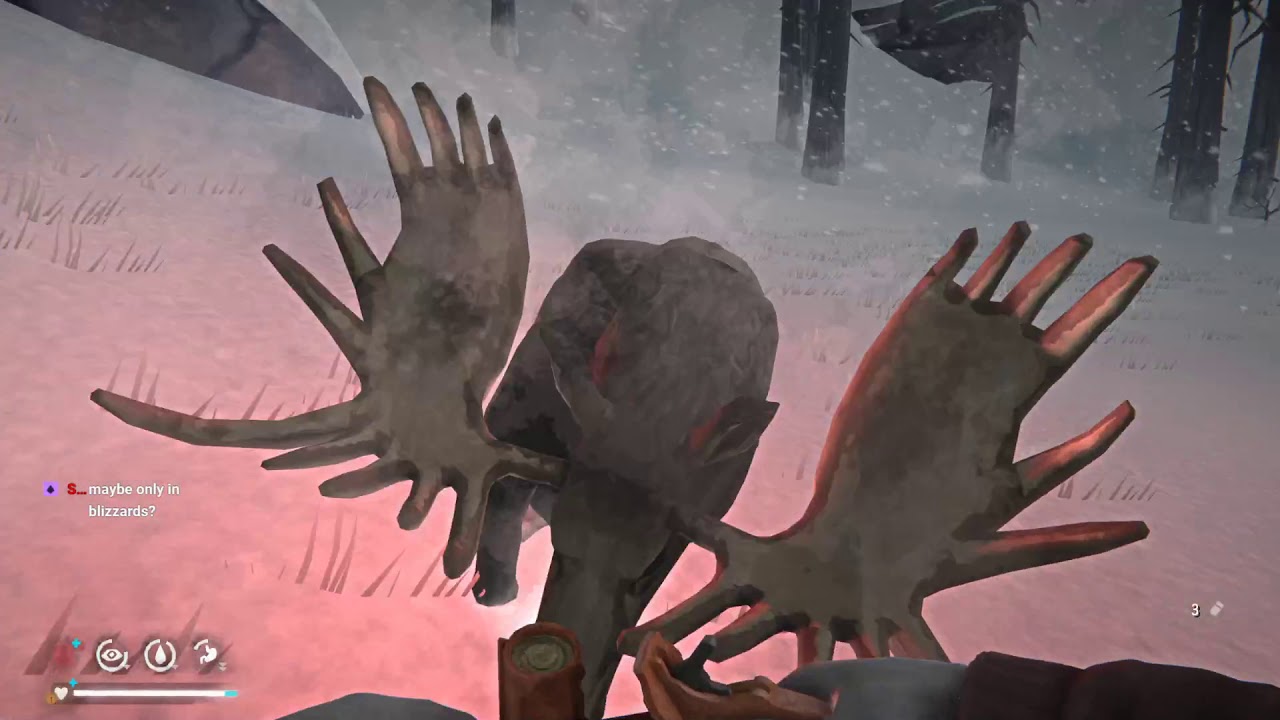 Sneaky Moose - YouTube