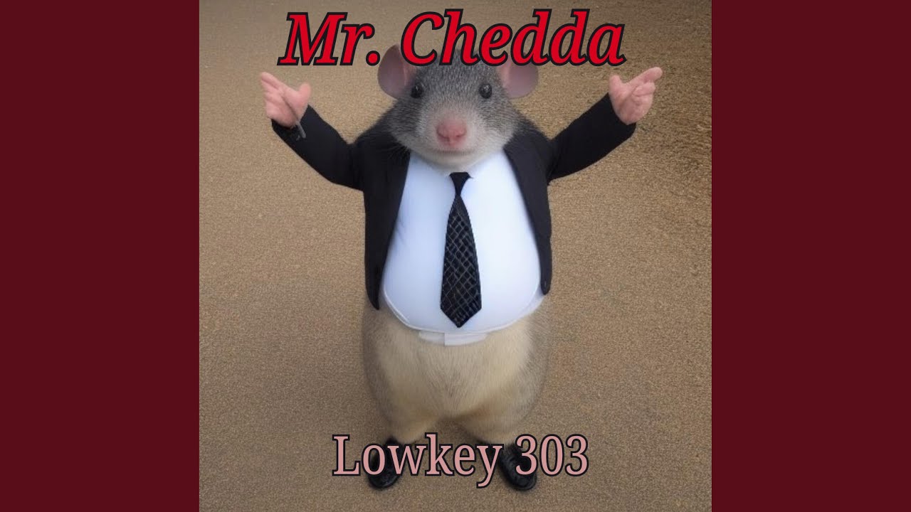 Mr. Chedda - YouTube