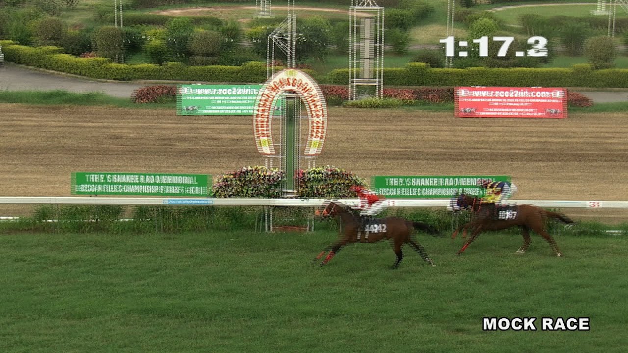 Miss Solitaire with A Ashhad Asbar up wins The Mock Race on 29-08-2022 ...