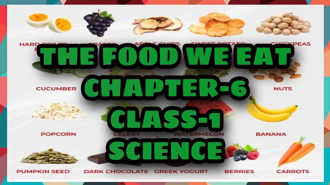 FOOD WE EAT# CLASS-1# SCIENCE# CHAPTER-6 - YouTube