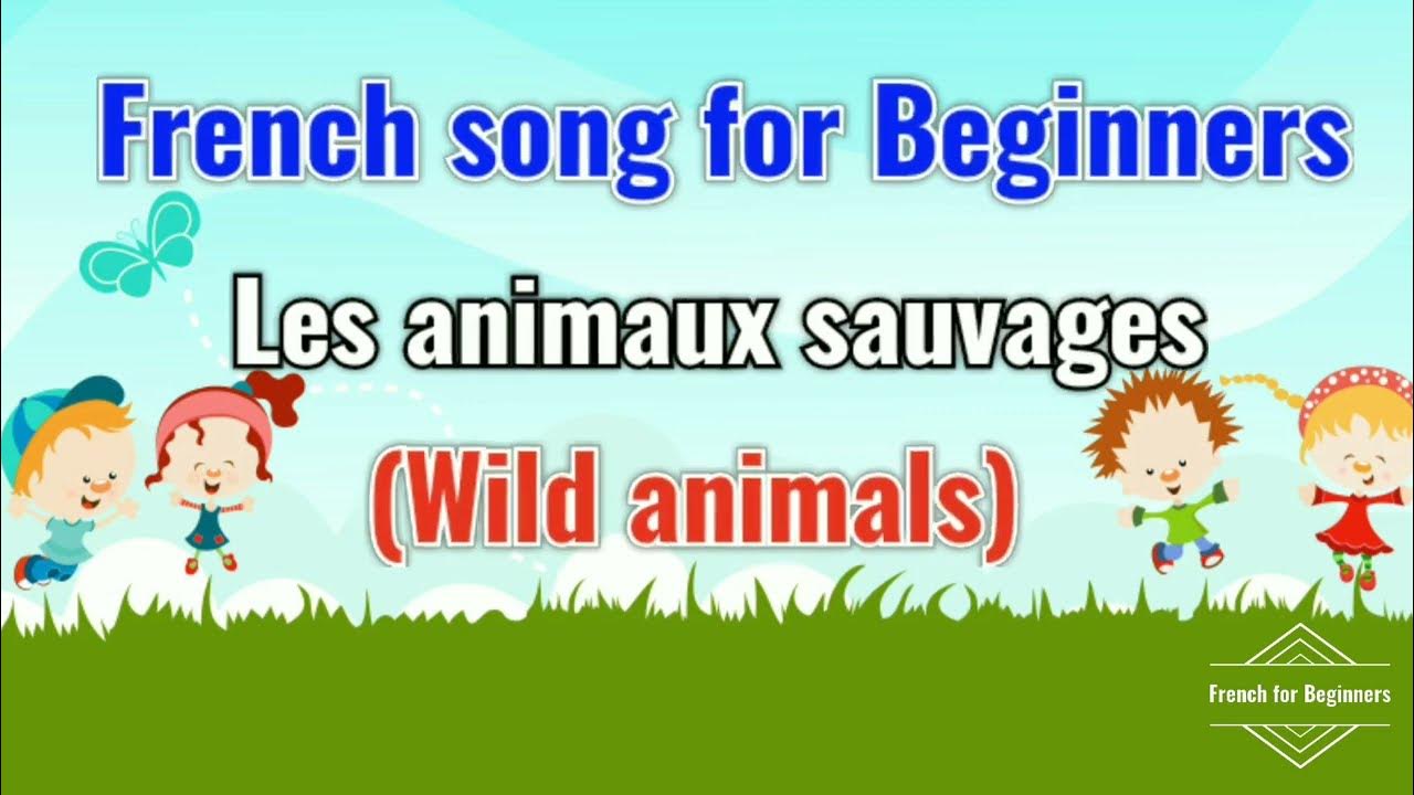 French songs for Kids | Wild animals | Les animaux sauvages - YouTube