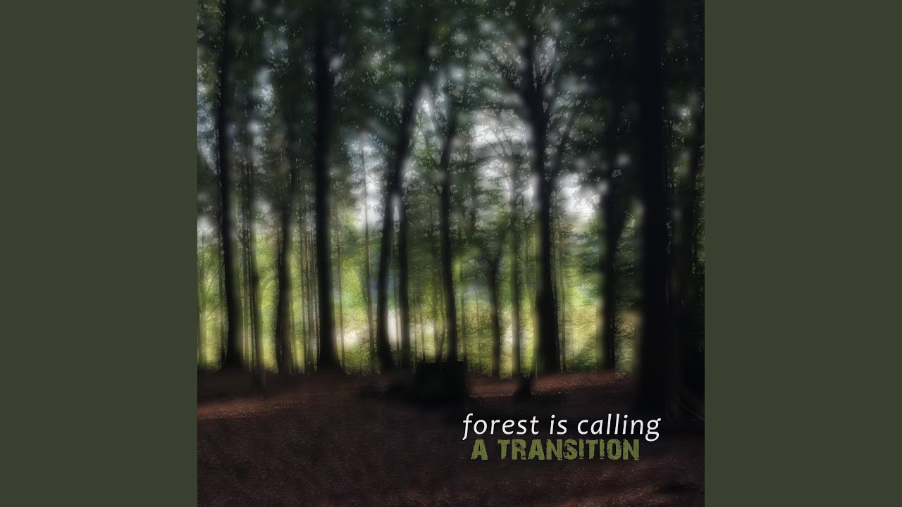 Forest is calling - YouTube