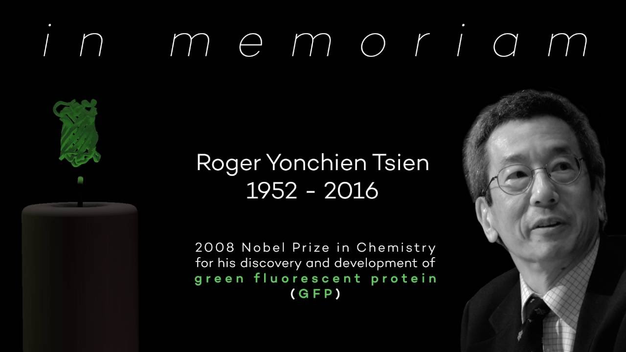 in memoriam Dr Roger Yonchien Tsien - YouTube