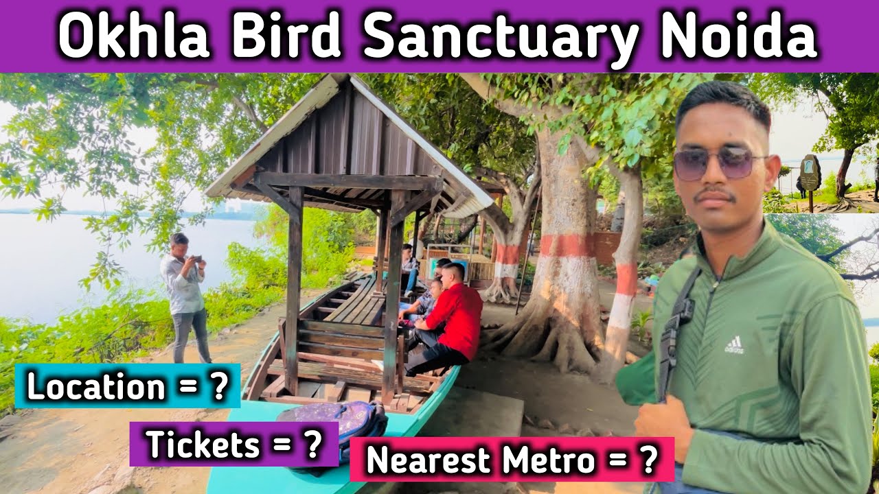 Okhla bird sanctuary noida | okhla bird sanctuary 2024 | bird sanctuary ...