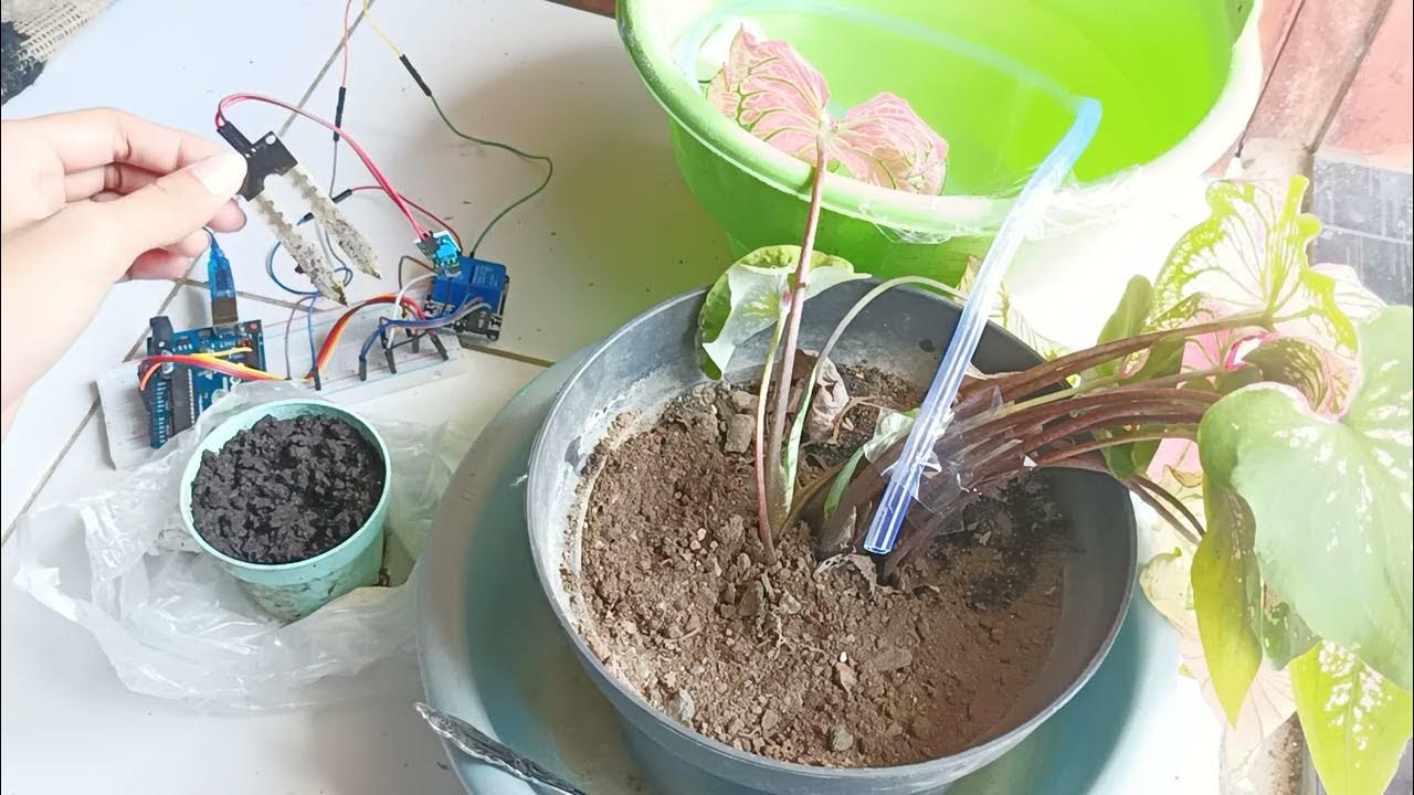 Sistem Penyiraman Tanaman Otomatis (DEMO) - YouTube