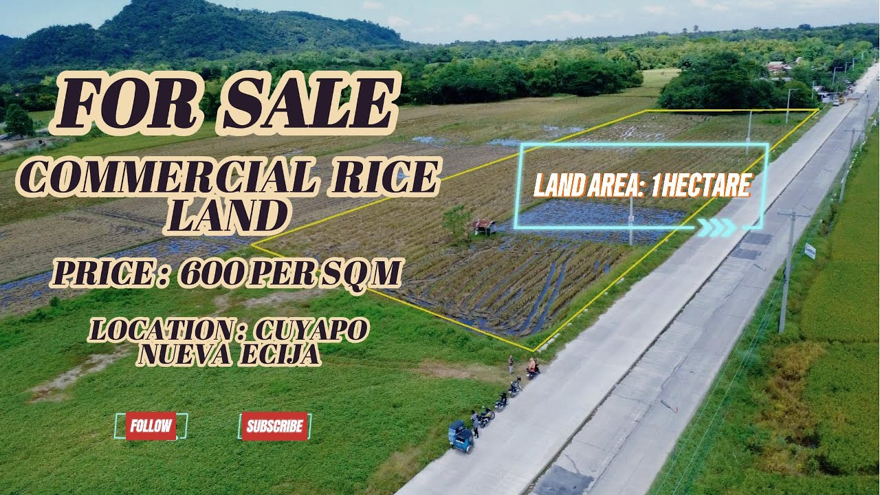 (V384) 1 HECTARE COMMERCIAL LOT, PRICE 600 PER SQM, LOCATION CUYAPO ...
