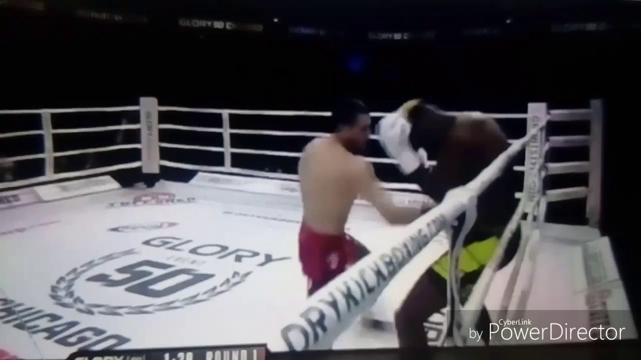 Harut grigorion vs murthel groenhart ko - YouTube