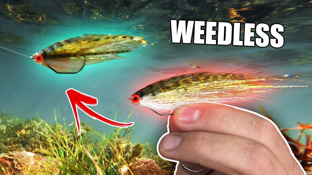 Tying a WEEDLESS Perch Fly (Tie TV ft. Niklaus Bauer) - YouTube