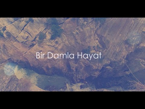 Dünya Su Günü - Su Tasarrufu 1