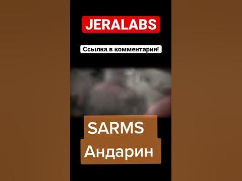 SARMS Андарин - YouTube