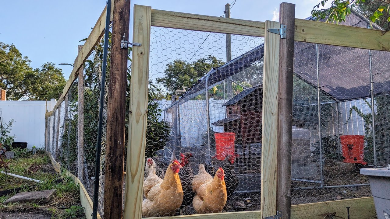 Sturdy chicken run for $50 using scrap wood, reused chicken wire and ...