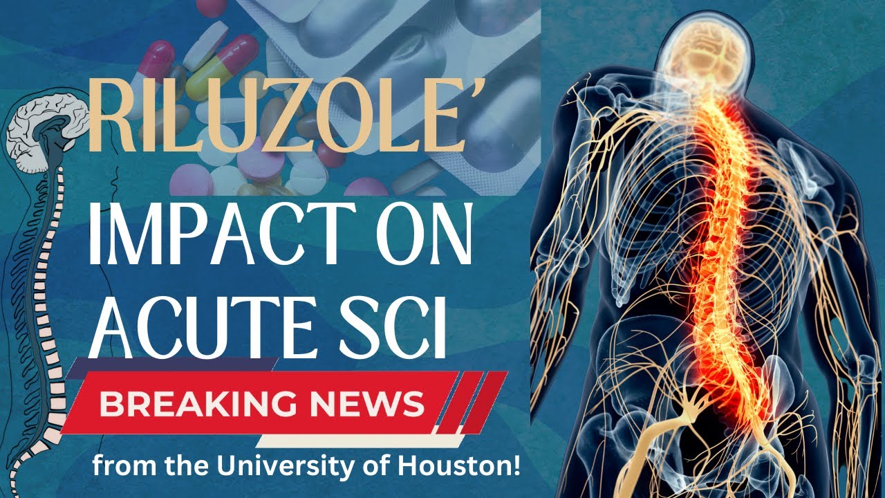 Riluzole: A New Hope for Acute Spinal Cord Injury Patients | The Physio ...