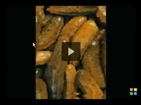 very funny pivot animation: burger king - YouTube
