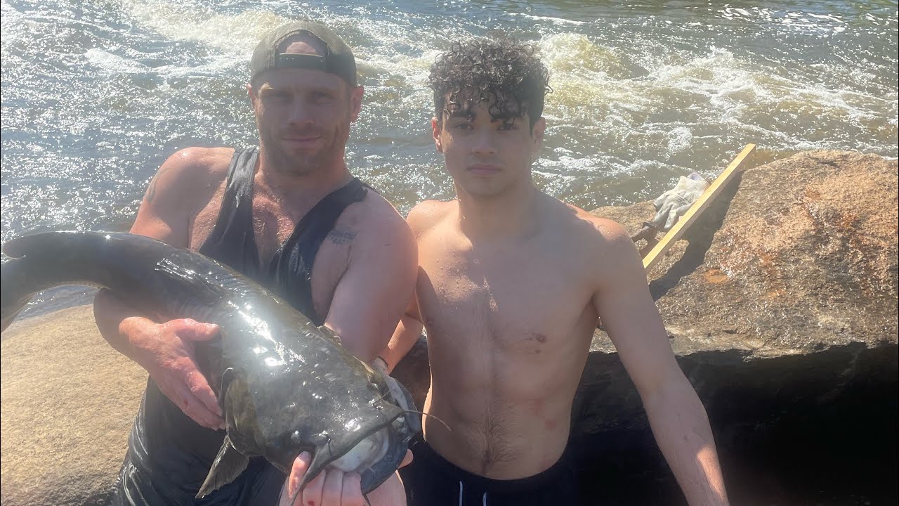 Noodling catfish in natural holes - YouTube