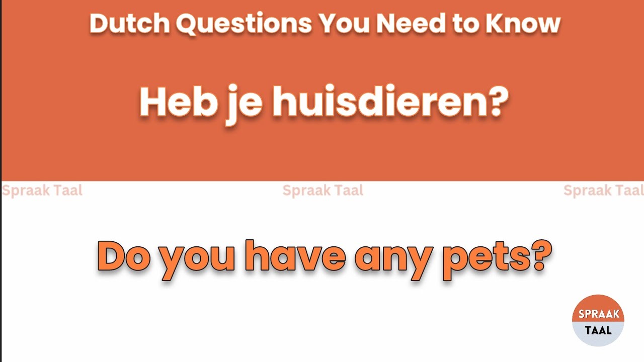 Learn Dutch Language With Easy Phrases Video 8 #languagelearning # ...