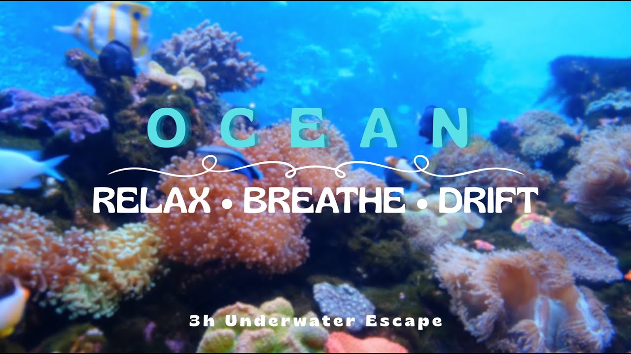 Ocean Waves & Deep Sea Ambience (3 Hours) | Peaceful Meditation & Sleep ...