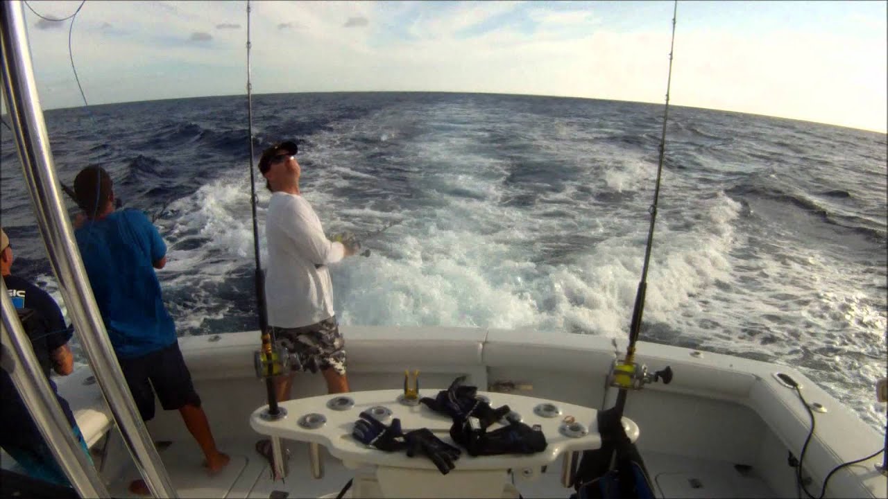Angry blue marlin = failing!!!!!!!!!!!!!!!!!! - YouTube