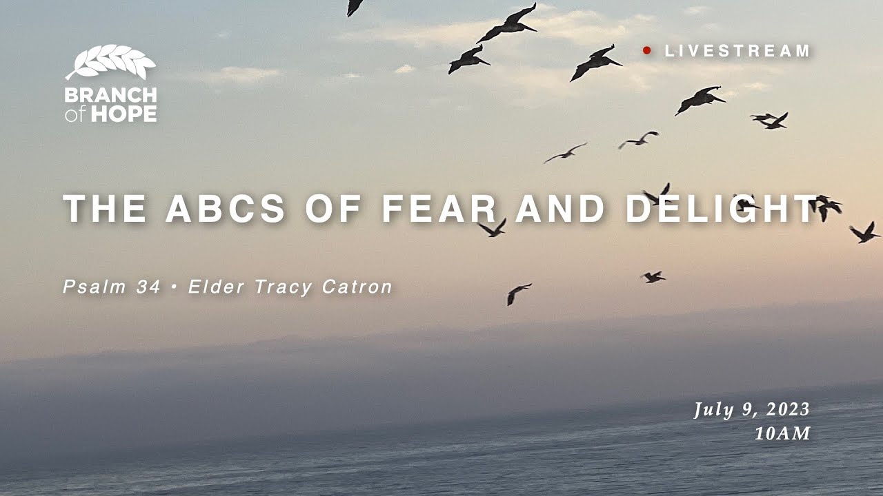 The ABCs of Fear and Delight || Ruling Elder Tracy Catron | Psalm 34 ...
