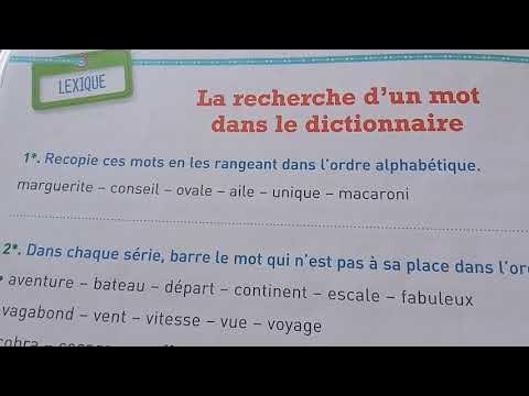 La recherche d'un mot dans le dictionnaire cahier des activités mot de ...